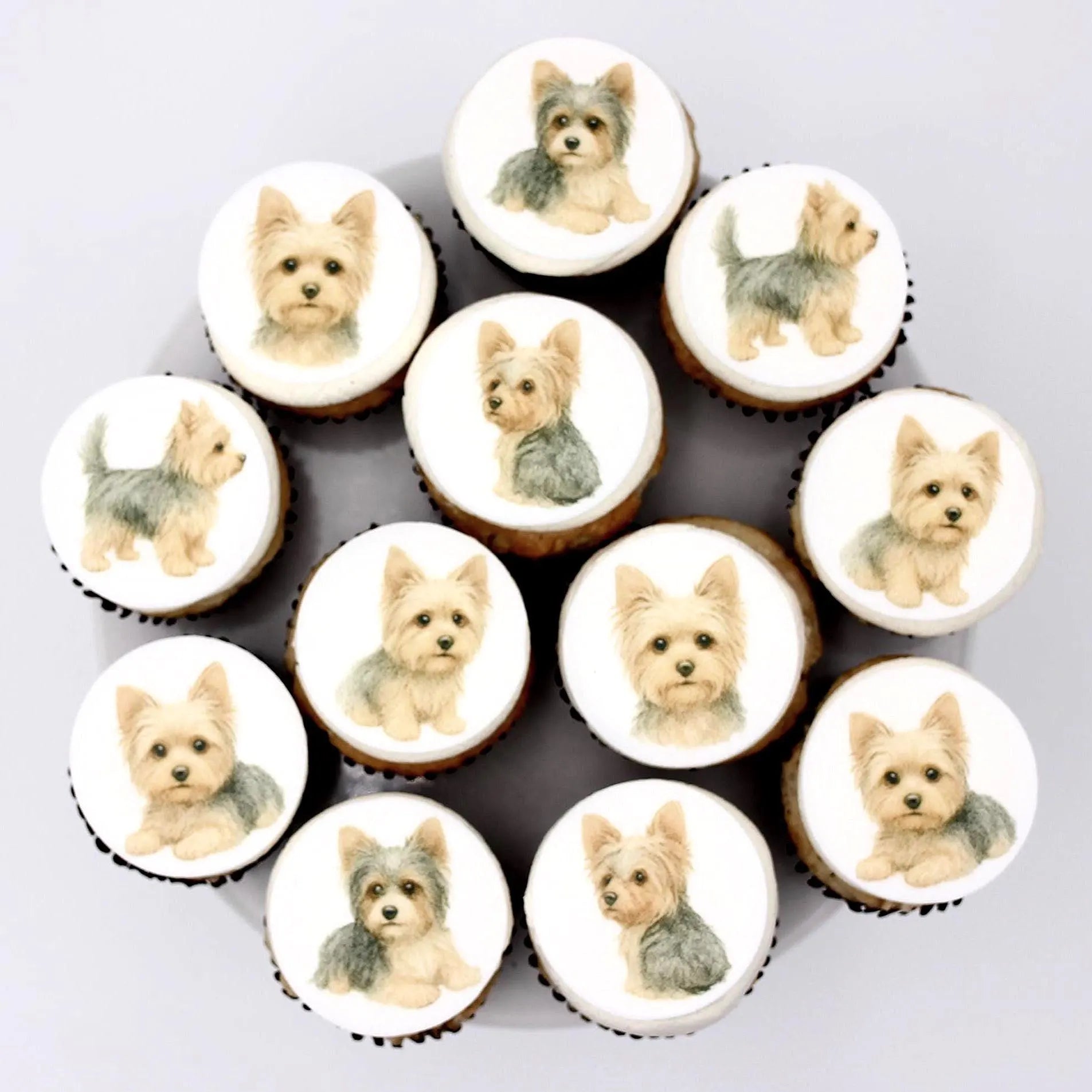 Yorkshire Terrier Cupcake Toppers (12) – CC Cakes